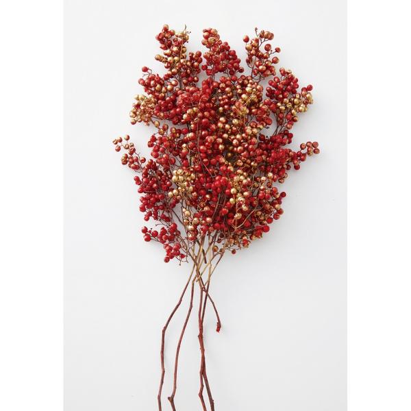 【商品番号：034-09363】/【VAR：4525】date20240722/999color10214/15px-002プリザーブド実物 ペッパーベリー【大地農園】