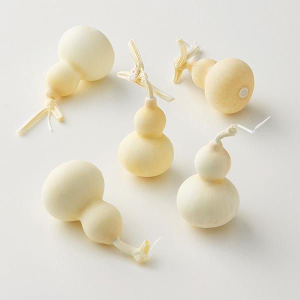 【商品番号：034-09390】/【VAR：81359】date20240722/999color10214ドライ実物＆フルーツ その他