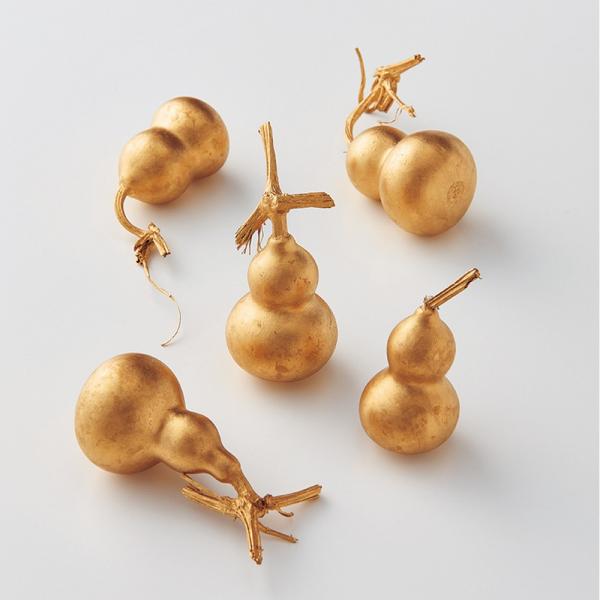 【商品番号：034-09391】/【VAR：81359】date20240722/999color10214ドライ実物＆フルーツ その他【大地農園】