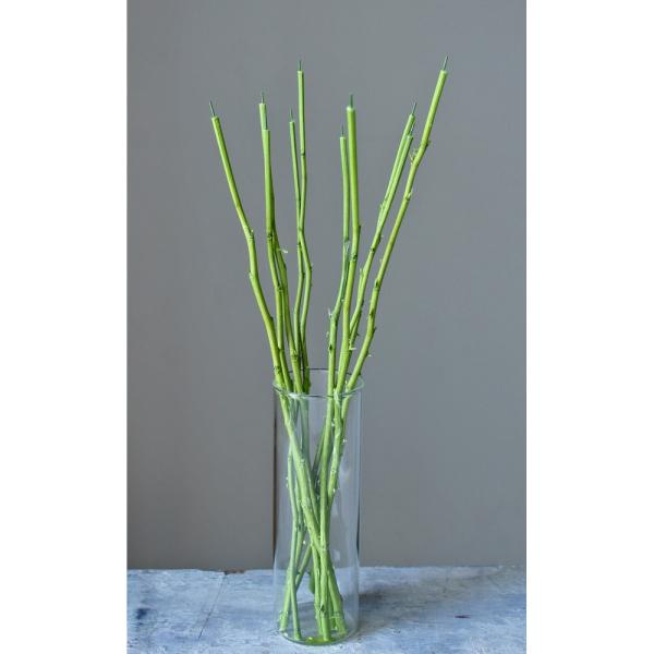 【商品番号：034-09449】/【VAR：81369】date20240723/999color10214その他プリザーブドフラワー花材