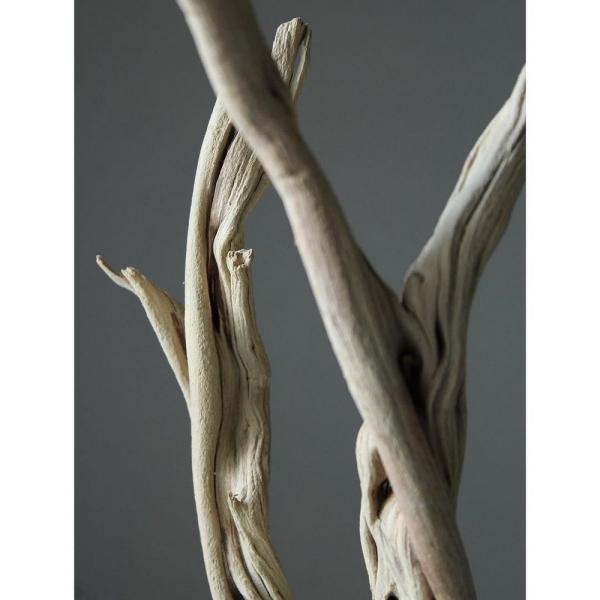 【商品番号：034-09482】/【VAR：】date20241125ドライ枝物 その他【大地農園】