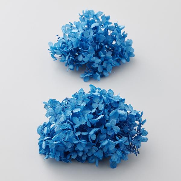 【商品番号：034-09490】/【VAR：1639】date20241216/bk-5004プリザーブドフラワー花材 アジサイ【大地農園】