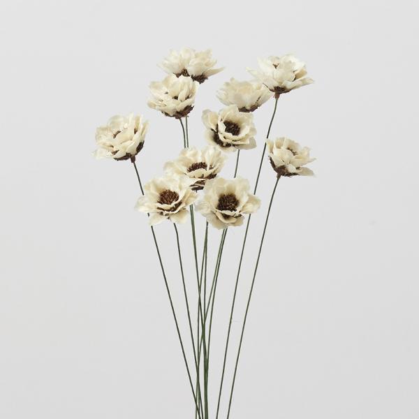 【商品番号：034-09549】/【VAR：81428】date20241216ソラフラワー その他ソラフラワー