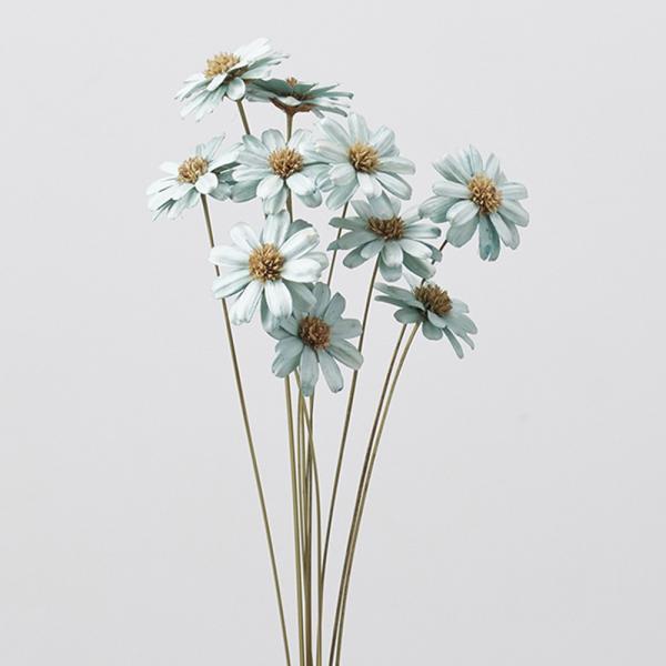 【商品番号：034-09556】/【VAR：59630】date20241216ソラフラワー その他ソラフラワー