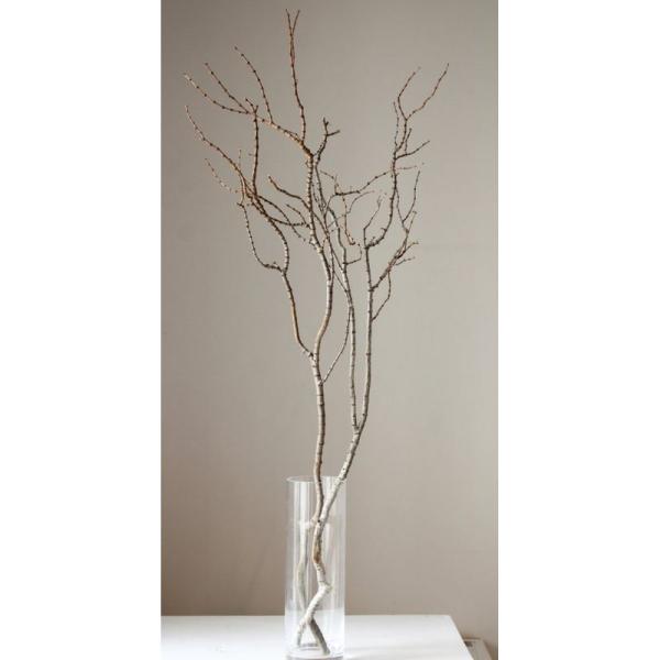 【商品番号：034-99185】/【VAR：83049】date20250109ドライ枝物 その他【大地農園】