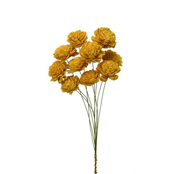 【商品番号：034-99209】/【VAR：4501】date20250501ソラフラワー ソラローズ【大地農園】