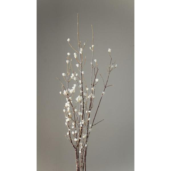 【商品番号：034-99223】/【VAR：】date20250512プリザーブド枝物 その他【大地農園】