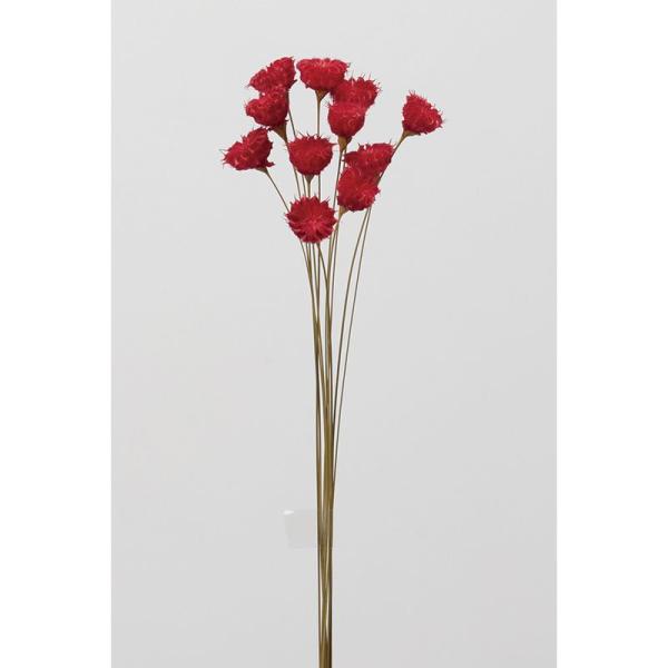 【商品番号：034-99265】/【VAR：84218】date20250722ソラフラワー その他ソラフラワー