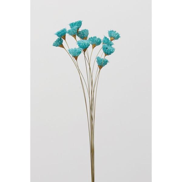 【商品番号：034-99268】/【VAR：84218】date20250722ソラフラワー その他ソラフラワー