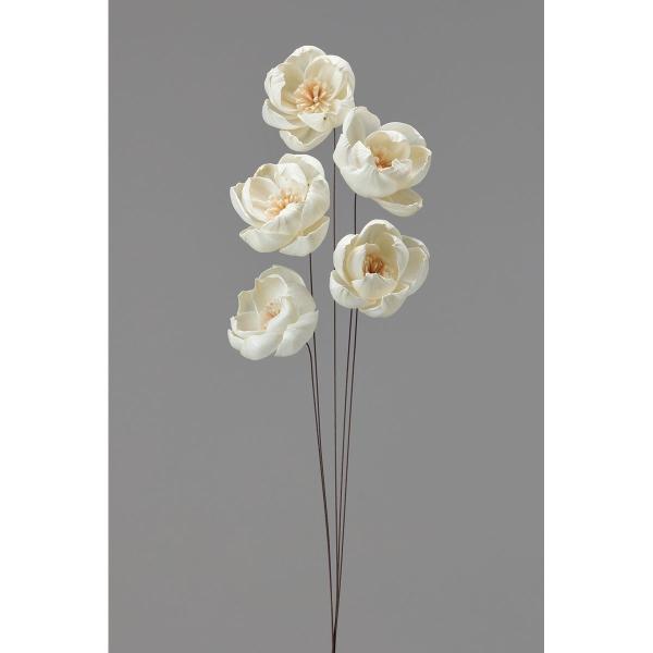 【商品番号：034-99271】/【VAR：】date20250722ソラフラワー その他ソラフラワー