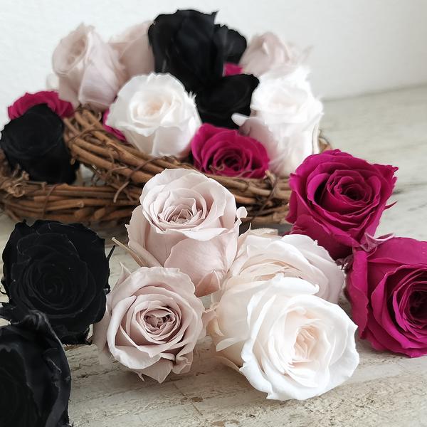 【商品番号：034-99316】/【VAR：84224】date20250802プリザーブドフラワー花材 バラ（ローズ）【大地農園】