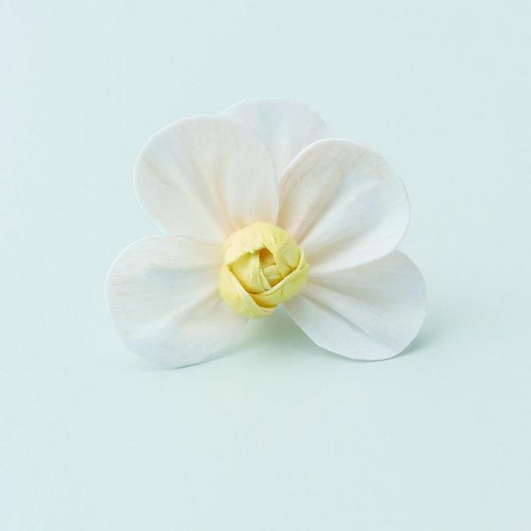 【商品番号：034-99374】/【VAR：】date20260104ソラフラワー その他ソラフラワー