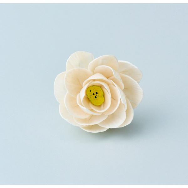 【商品番号：034-99375】/【VAR：】date20260104ソラフラワー その他ソラフラワー