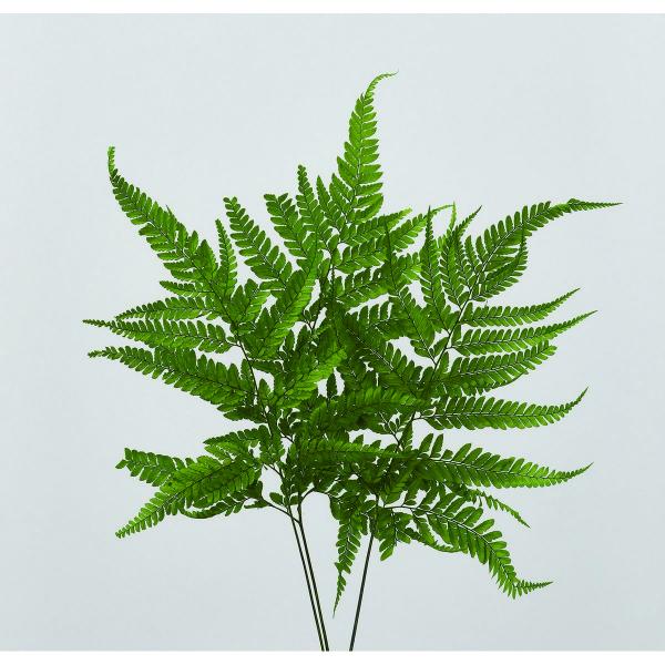 【商品番号：034-99383】/【VAR：】date20260104プリザーブドグリーン 葉物