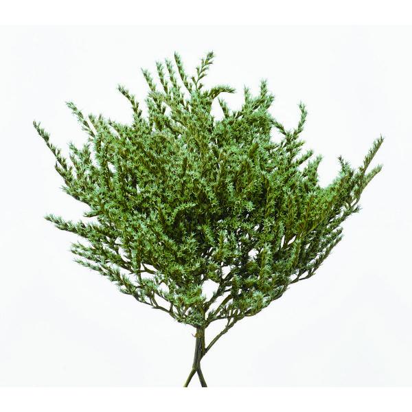 【商品番号：034-99397】/【VAR：65649】date20260104プリザーブドフラワー花材 小花