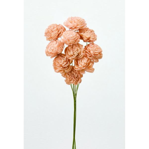 【商品番号：034-99414】/【VAR：4501】date20260104ソラフラワー ソラローズ