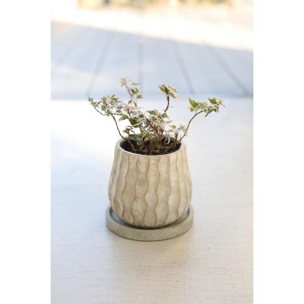 【商品番号：045-06734】/【VAR：81161】date20240416/ガーデニング・園芸用品 植木鉢・フラワーポット セメント鉢【コベントガーデン】