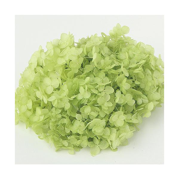 【商品番号：049-00025】/【VAR：8273】TOKA/64186/4940095641862/ベストセラーアジサイ/chichinohi-16/biridal_kikaku-24/16hina-005/P17yes-009/16h...