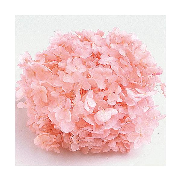 【商品番号：049-00031】/【VAR：2388】4940095641879/20160911new/bk-1024/16hina-010/bk-3004/milkypink/bk-4004/bk-5004プリザーブドフラワー花材 アジ...