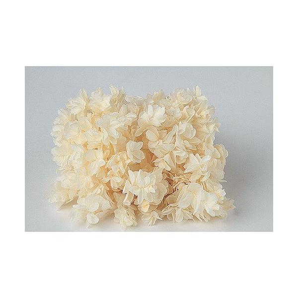 【商品番号：049-00047】/【VAR：8278】TOKA/64198/4940095641985/psum-012/17love004/bk-3004プリザーブドフラワー花材 アジサイ