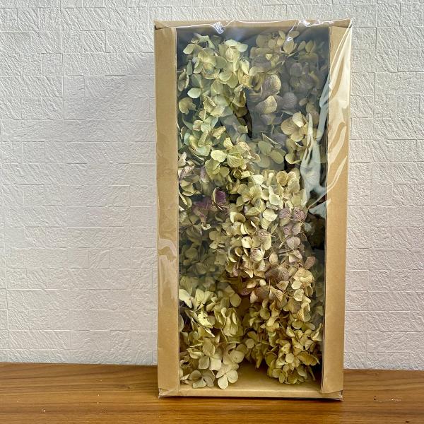 【商品番号：049-00056】/【VAR：8259】TOKA/60055/4940095600555/mothersday_preserved/aki_drypuri2015_007/bk-0024ドライフラワー花材 あじさい（紫陽花）【東花】