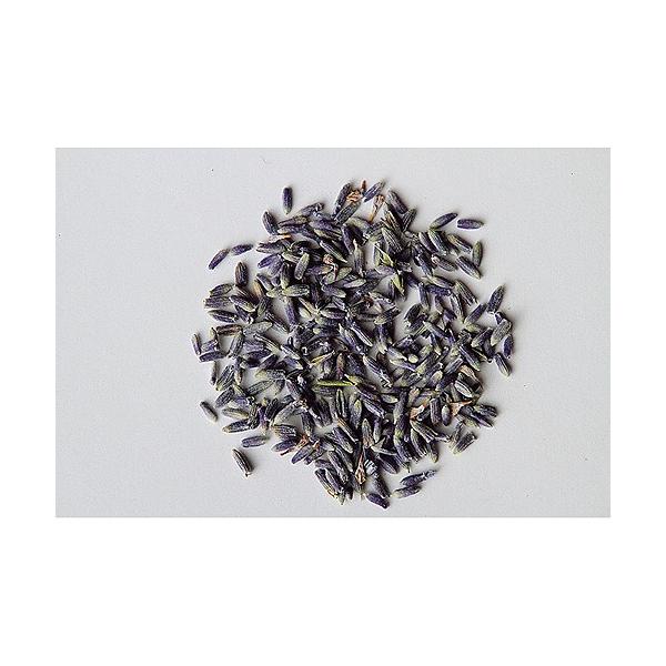 【商品番号：049-00123】/【VAR：8265】TOKA/62042/4940095620423/bk-2108/bk-3016/natsulavドライフラワー花材 ラベンダー【東花】