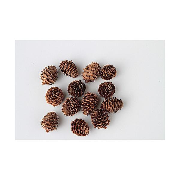 【商品番号：049-00373】/【VAR：8387】TOKA/66201/4940095662010/16x-006/2019newyear/ドライ実物＆フルーツ 松かさ、から松