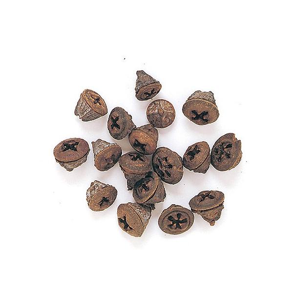 【商品番号：049-00426】/【VAR：2442】TOKA/66031/4940095660313ドライ実物＆フルーツ 木の実【東花】