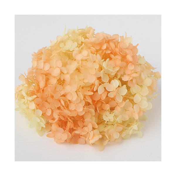 【商品番号：049-03002】/【VAR：8281】/TOKA/64249/4940095642494/biridal_kikaku-24/aki_drypuri2015_008/16ha_p004/psum-007/bk-0024/P1...