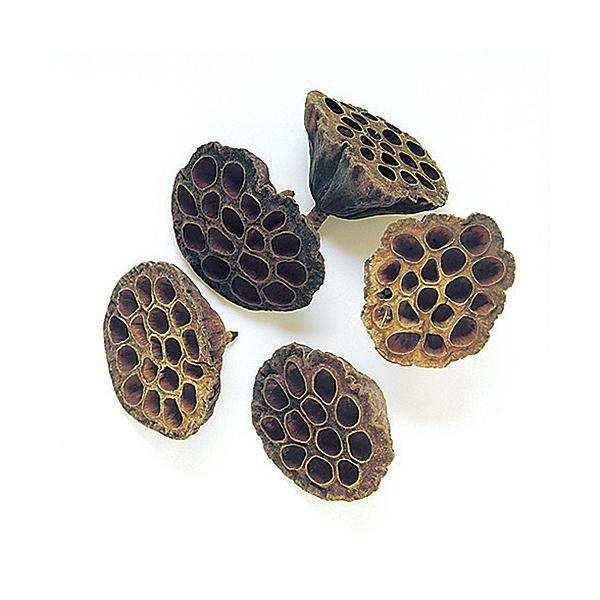 【商品番号：049-03385】/【VAR：】4940095670237/20180613newドライ実物＆フルーツ 木の実