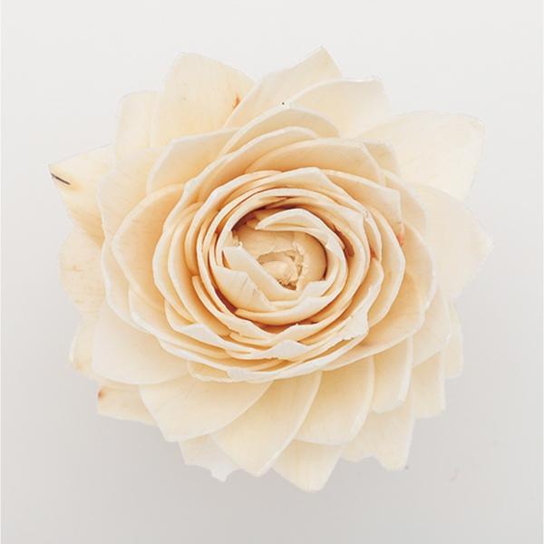 【商品番号：049-03409】/【VAR：9163】4940095754494/20180627new/bk-3019ソラフラワー ソラローズ【東花】