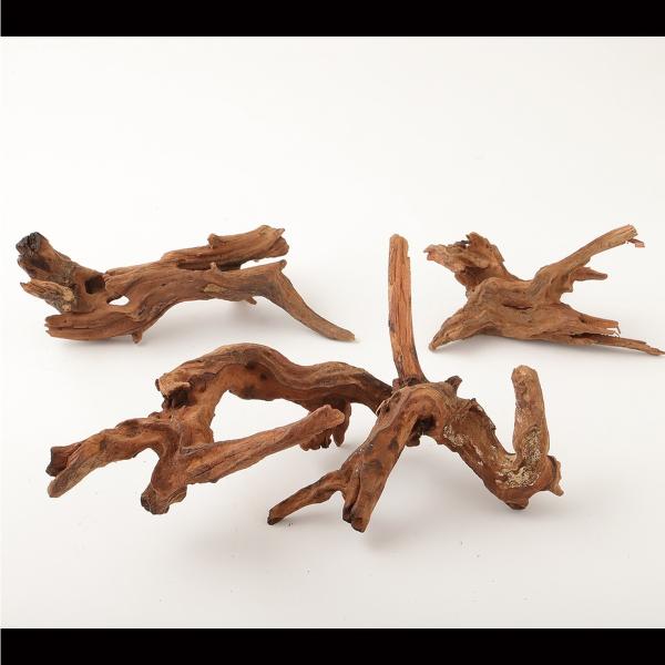 【商品番号：049-03600】/【VAR：50796】4940095690044/20180627new/bk-3014ドライ枝物 その他【東花】