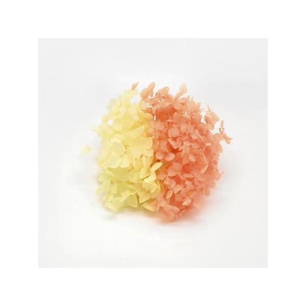 【商品番号：049-03650】【VAR：13084】20190614new/あじさい/bk-2024/psum-007/bk-3004 プリザーブドフラワー花材 アジサイ