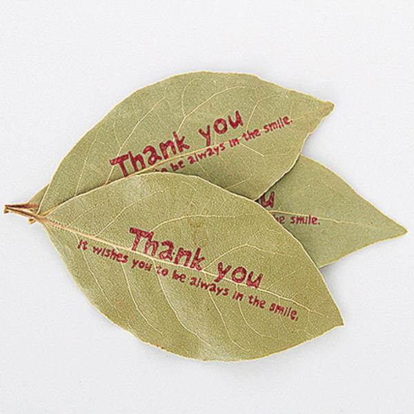 【商品番号：049-03737】/【VAR：63060】20200414newドライ葉物 リーフ【東花】