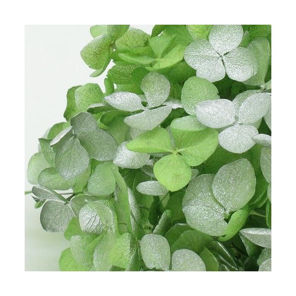 【商品番号：049-03791】/【VAR：63080】20200512new/bk-3004/15px-002プリザーブドフラワー花材 アジサイ