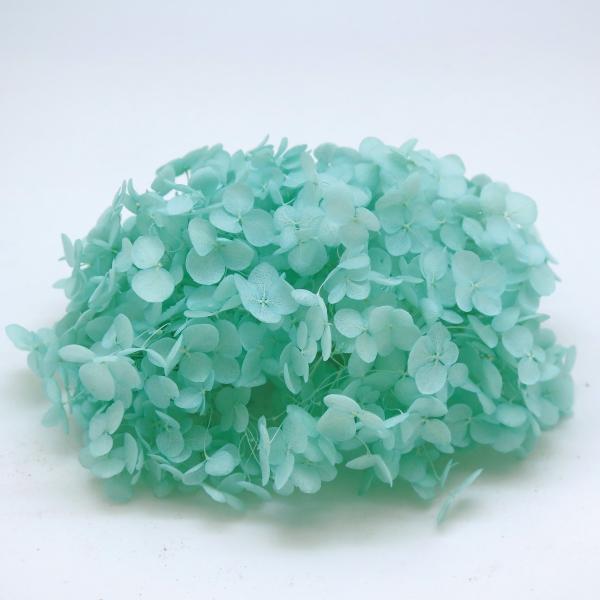 【商品番号：049-03819】/【VAR：2388】20210914new/17love003/psum-003/bk-3004/bk-5004プリザーブドフラワー花材 アジサイ【東花】