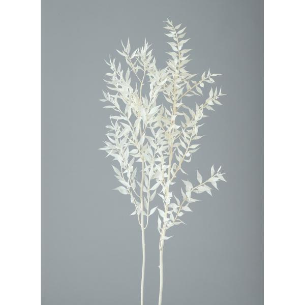 【商品番号：049-03964】【VAR：18139】20220712new/bk-3010/17love005/bk-4008 プリザーブドグリーン 葉物