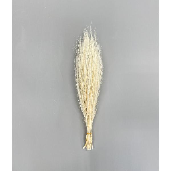 【商品番号：049-04086】/【VAR：67631】20230327new/color20230919ドライフラワー花材 その他ドライフラワー【東花】