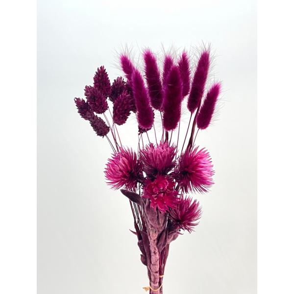 【商品番号：049-04095】/【VAR：27645】date20240409/bk-502ドライフラワー花材 その他ドライフラワー【東花】