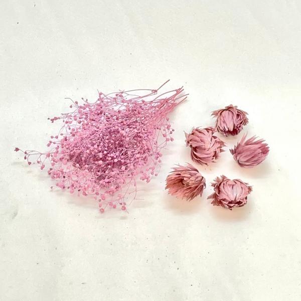 【商品番号：049-04103】/【VAR：81314】date20240409ドライフラワー花材 その他ドライフラワー