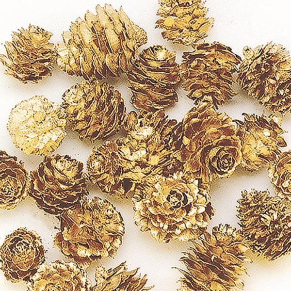 【商品番号：049-04200】/【VAR：81261】date20250830ドライ実物＆フルーツ 松かさ、から松