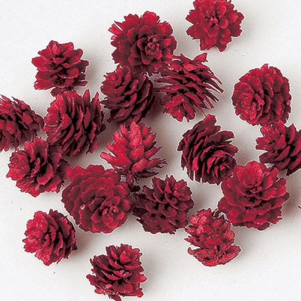 【商品番号：049-04203】/【VAR：81261】date20250830ドライ実物＆フルーツ 松かさ、から松