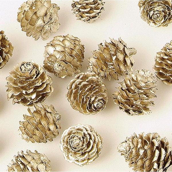 【商品番号：049-04205】/【VAR：81261】date20250830ドライ実物＆フルーツ 松かさ、から松