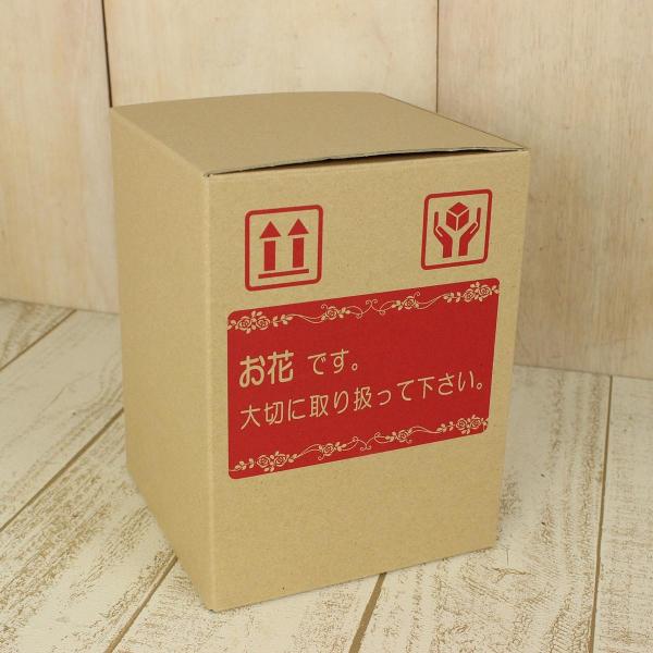 【商品番号：050-00050】/【販売単位】10枚 ※表示価格は、この単位での金額となります/【VAR：8418】4571453212006/20170814newダンボール・宅配袋 ダンボール【はなどんやオリジナル】