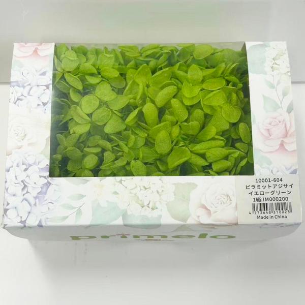 【商品番号：050-00143】/【VAR：33422】date20260310プリザーブドフラワー花材 アジサイ