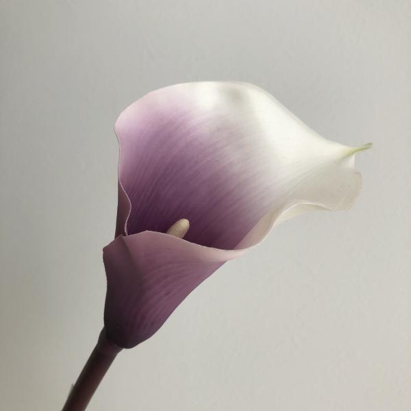 【商品番号：051-01873】/【VAR：3702】新商品201301　ASUKA　アスカ商会/A-39480-007W/4511255306558/asum-008/bk-2038/bkz-0009/bk-0005/bkz-0306/o...