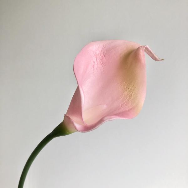 【商品番号：051-01889】/【VAR：2957】新商品201301　ASUKA　アスカ商会/A-31387-003/4511255274147/biridal_kikaku-38/bk-0038/201703satsuei/17101...