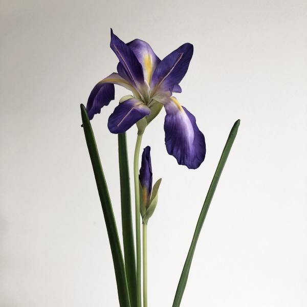 【商品番号：051-02176】/【VAR：3633】新商品201301　ASUKA　アスカ商会/A-36023-007/4511255228225/kiz-001/180306pu/コーティング/oda2024_0822造花 花材「あ行」...