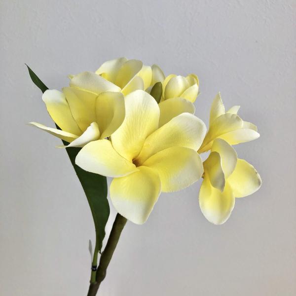 【商品番号：051-02718】/【VAR：2891】新商品201301　ASUKA　アスカ商会/A-31220-010/4511255255016/asum-010/180427pu リアル/bkz-0018/bkz-0207/oda20...