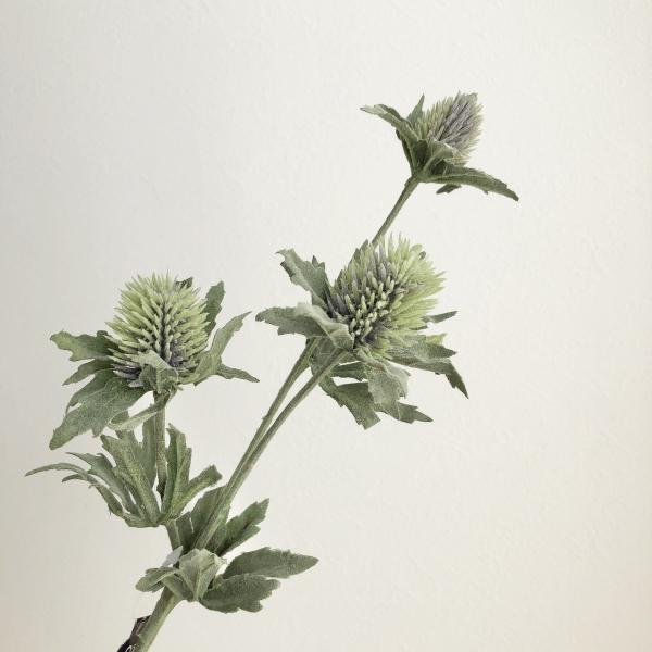 【商品番号：051-03071】/【VAR：3638】新商品201301　ASUKA　アスカ商会/A-36036-006/4511255228836/akiZ2014-01/chichinohi-03/A17haha-006/170822p...